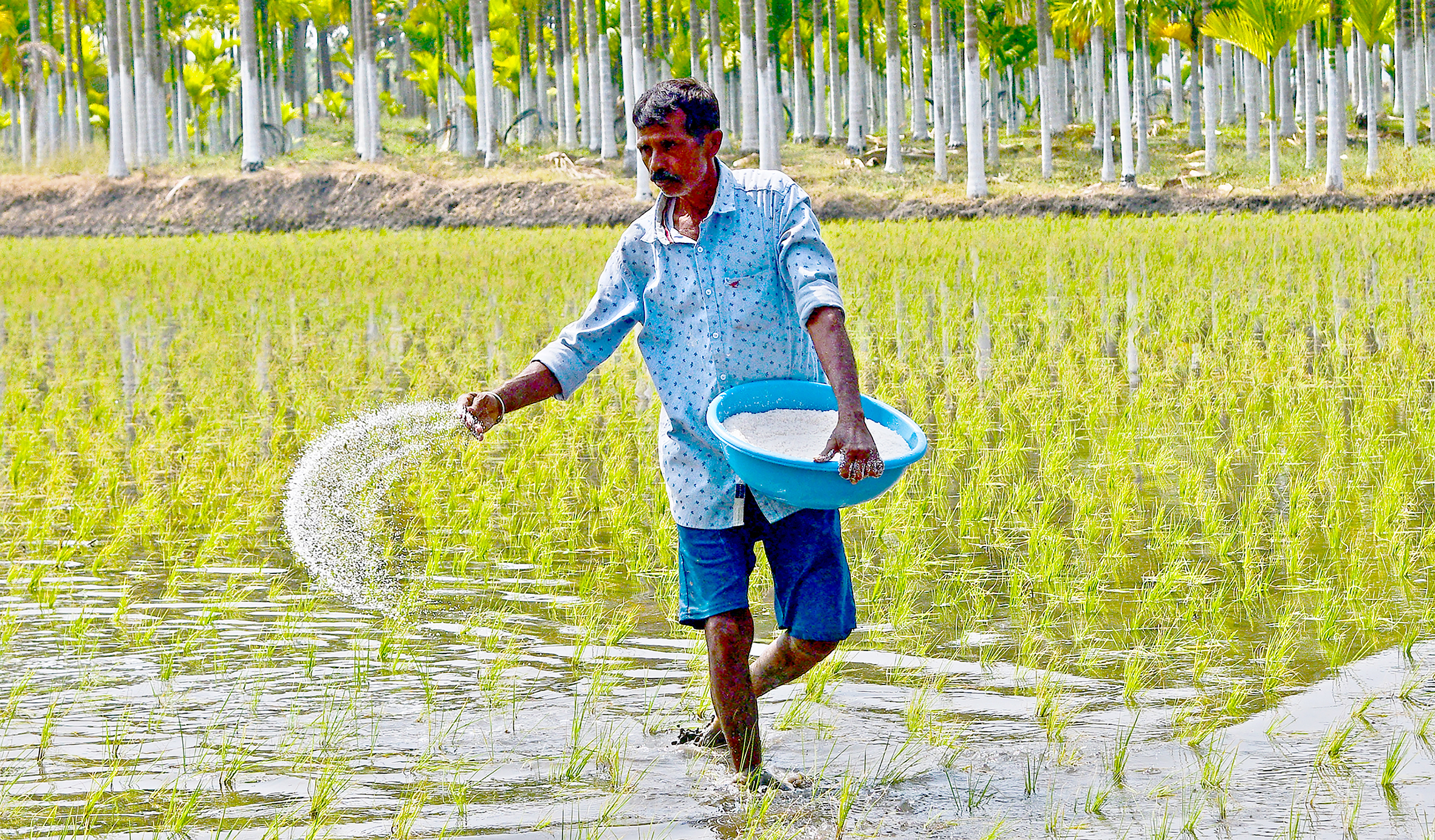 Janathavani
